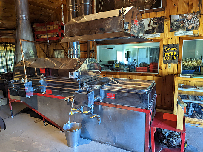 Behold, the maple-making magic! These gleaming vats are where tree sap becomes liquid gold. It's like alchemy, but tastier.