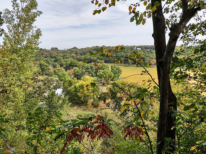 Autumn's paintbrush at work! This vista is like a Bob Ross painting come to life, minus the "happy little trees" commentary.