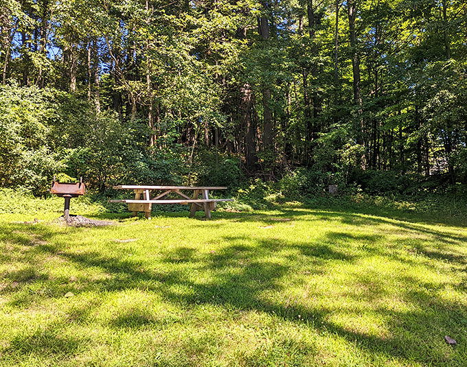 Picnic perfection! This spot's serving up a feast for the eyes with a side of tranquility.