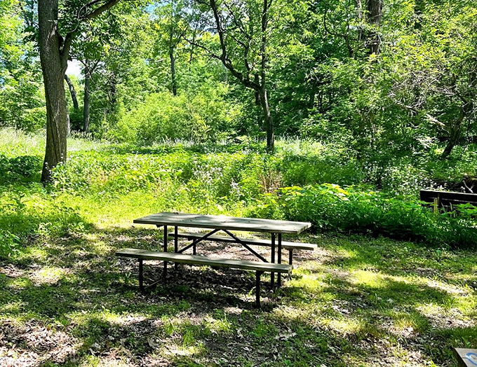 The perfect spot for a subterranean picnic! Just imagine the stories these trees could tell about the secret world beneath their roots.