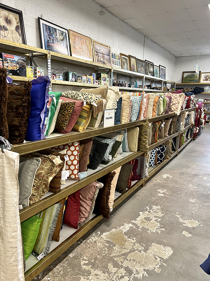 Pillow talk! This cushion collection is a texture lover's dream, offering a chance to zhuzh up your couch without deflating your wallet.