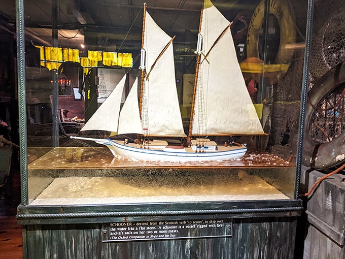 All hands on deck! This miniature schooner brings the high seas to eye level. It's like "Honey, I Shrunk the Ship," but with more historical accuracy.