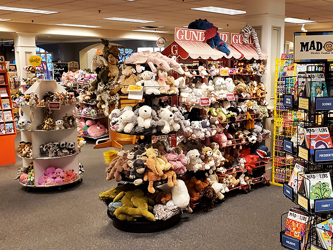 Cuddle up with a new furry friend! These plush pals are ready to join your reading adventures.