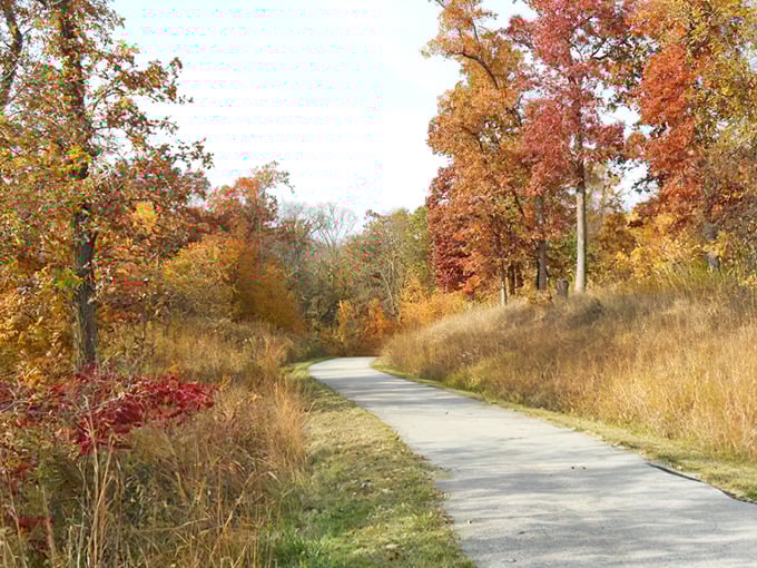 Autumn on the trail: Nature's own masterpiece, no filter needed. It's like walking through a Bob Ross painting, minus the "happy little trees" commentary.