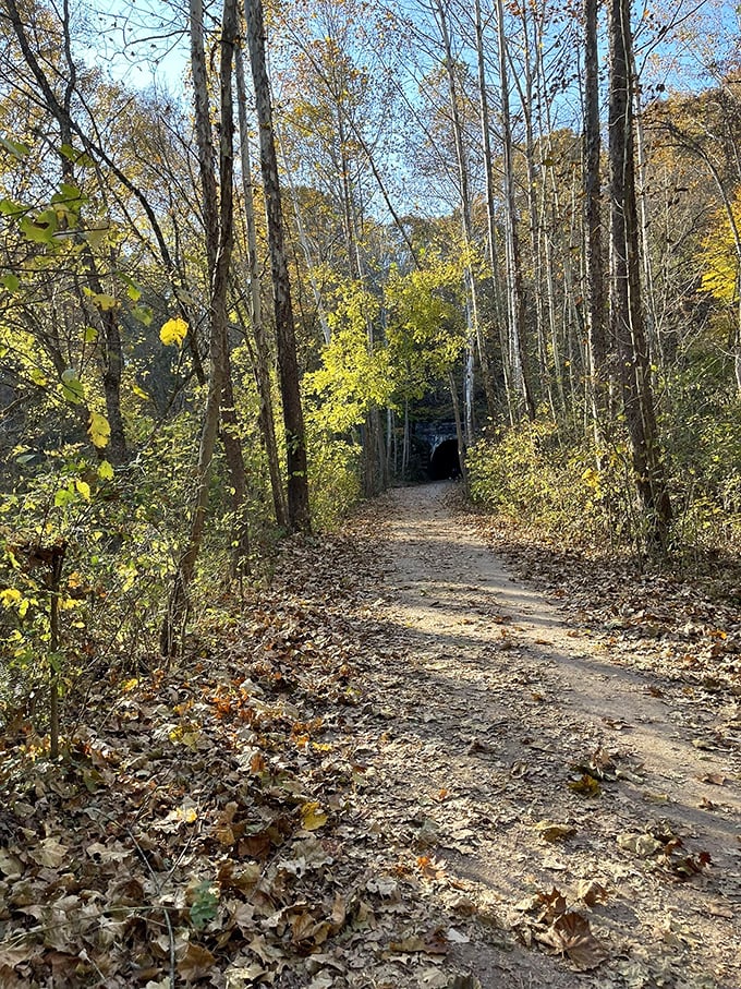 Nature's red carpet: The trail to Moonville Tunnel rolls out a leafy welcome mat, inviting you to take a walk on the wild side.