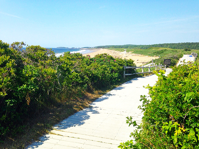 Follow the wooden road! This trail's inviting you on an adventure that's part 'Wizard of Oz,' part 'Into the Woods,' all Maine magic.