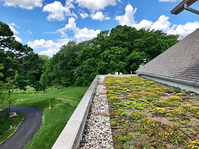View that makes you go "wow" &ndash; and that's before the wine! Minnesota's natural beauty pairs perfectly with Chankaska's liquid offerings.