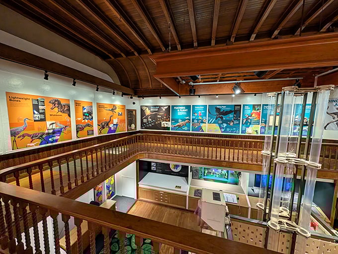 A two-story trip through time! This colorful chronicle of life's journey makes textbooks look positively prehistoric.