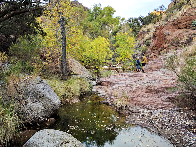 Where the wild things are. Aravaipa Canyon is Arizona's own slice of untamed paradise.
