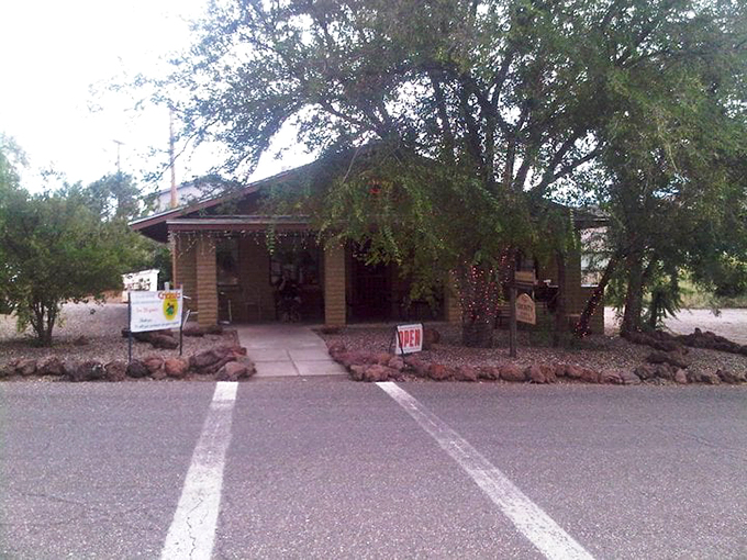 Red rock, green trees, and golden-brown cinnamon rolls. Sedona never tasted so good!