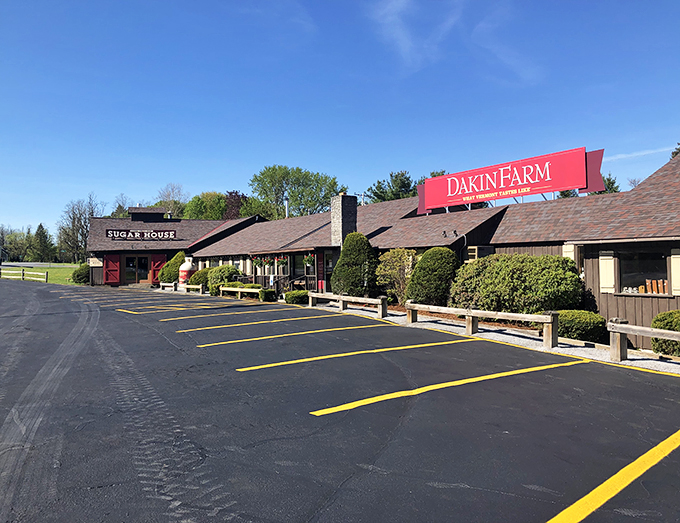Dakin Farm: Where 'farm-to-table' means 'tree-to-pancake'. Syrup doesn't get fresher than this!
