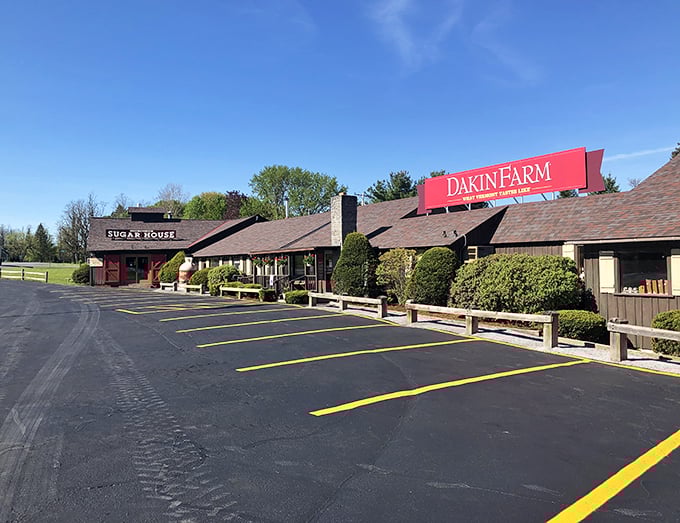 Dakin Farm: Where 'farm-to-table' means 'tree-to-pancake'. Syrup doesn't get fresher than this!