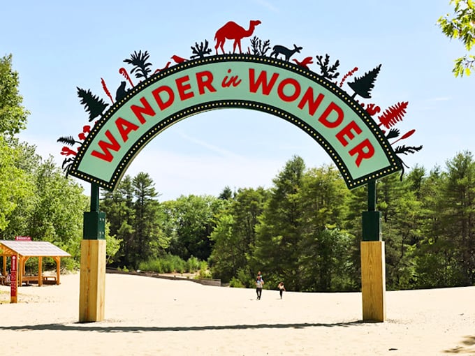 Sand, sand everywhere! The Desert of Maine's quirky landscape is like Arizona took a wrong turn at Albuquerque.