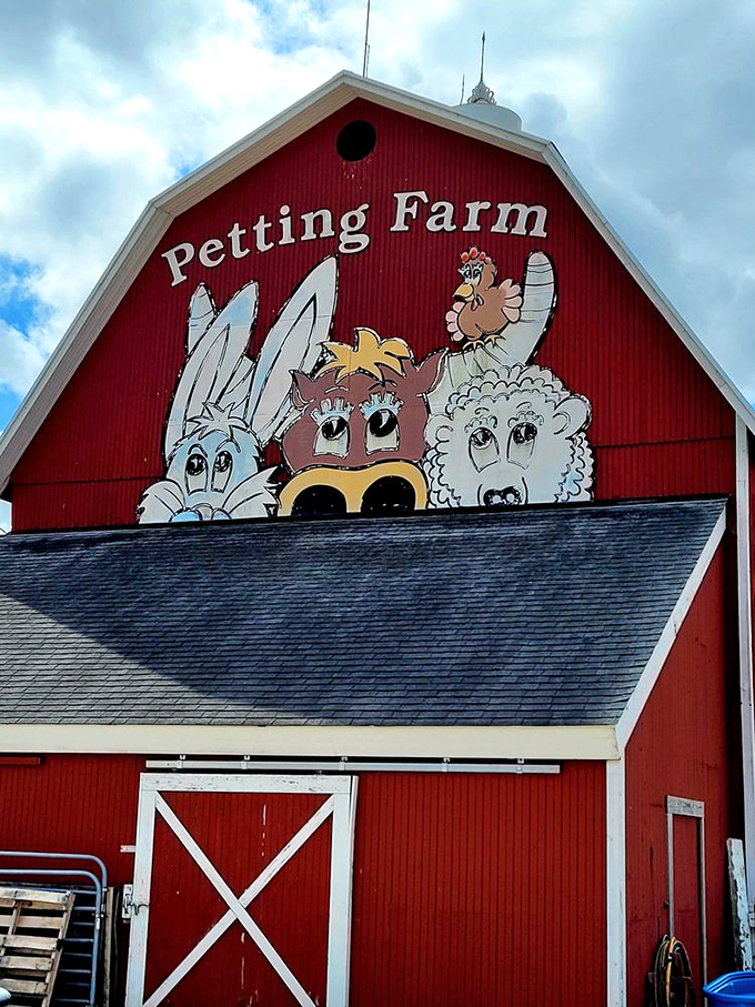 Roll down your windows, follow the country road, and let this bright red barn greet you with open arms.