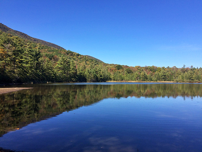 Equinox Preservation Trust: Where every trail is a choose-your-own-adventure book. Spoiler: They all end with awesome views and a sense of accomplishment.