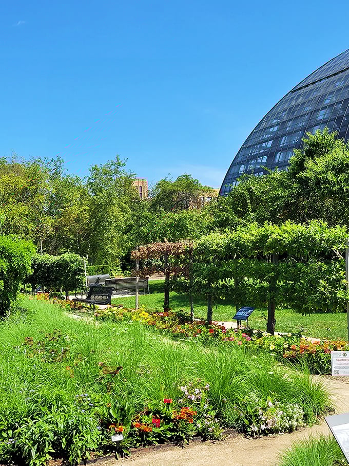 Tree-mendous adventure! Where every leaf tells a story and trolls lurk around every corner.