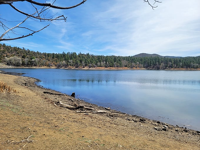 The view is so serene, it's like finding a secret garden in your backyard &ndash; if your backyard was a pine forest.