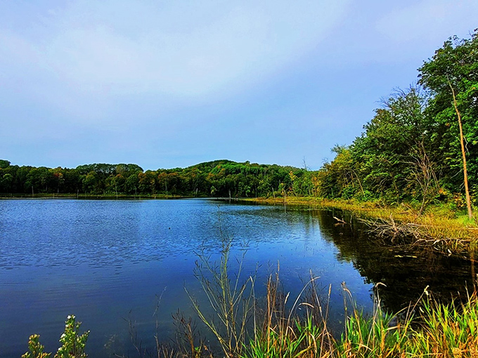 Maplewood State Park in autumn: Nature's own fireworks display. Prepare for a color show that puts Times Square to shame.