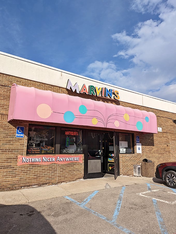 Roadside attraction jackpot! Marvin's Marvelous Mechanical Museum is the perfect place to stretch your legs and boggle your mind.