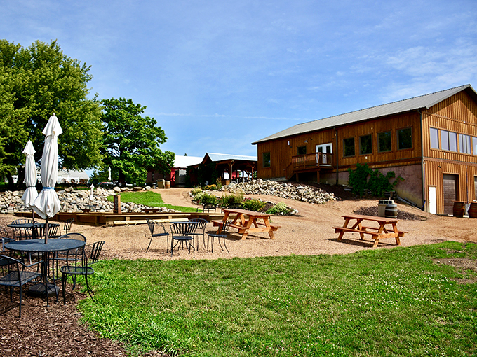 Can't decide between wine and beer? At Schram, you don't have to &ndash; it's a two-for-one deal of deliciousness!