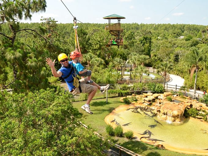 Flying high over snapping jaws. The Screamin' Gator Zip Line lets you soar like an eagle&hellip; over alligators.