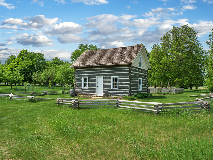 Nature's classroom comes alive! This arboretum turns a stroll through the woods into a lesson in biodiversity.