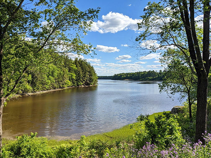 Vaughan Woods: Where every trail feels like a journey through a storybook. Keep an eye out for hobbits!