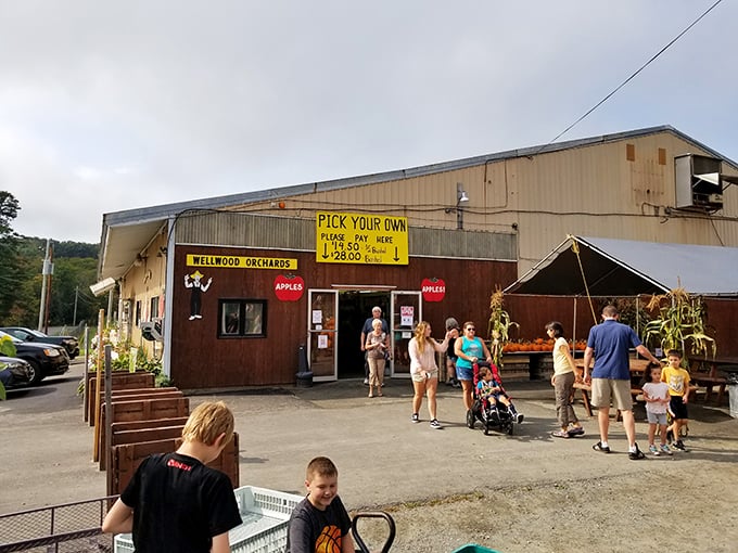 Last stop: flavor town! Wellwood is the grand finale your taste buds deserve after a long drive.