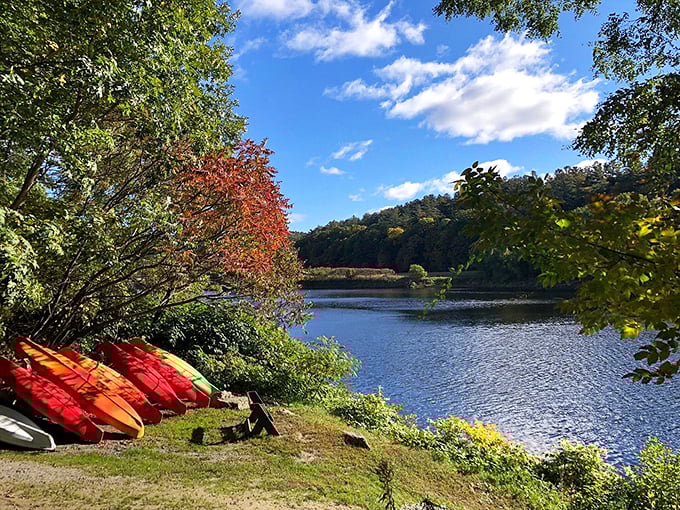 Wilgus State Park's riverside charm: Where the Connecticut River whispers tales of adventure to passing canoeists.