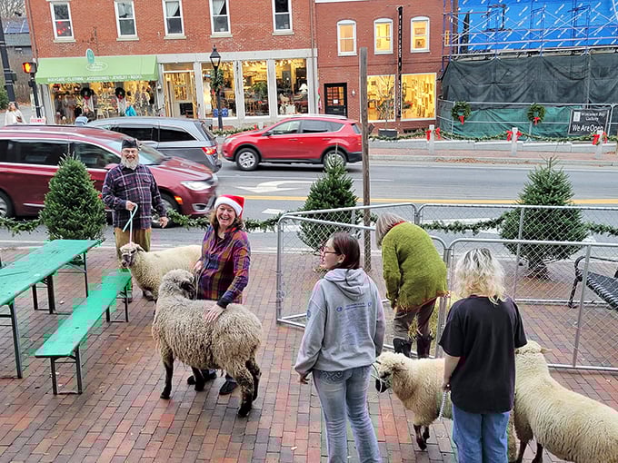 Wiscasset: Where "Maine's Prettiest Village" gets even prettier with a dusting of snow and twinkling lights.