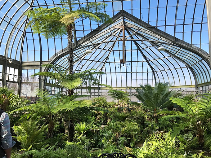 Fern gully, Motor City edition. Anna Scripps Whitcomb Conservatory proves that in Detroit, even the plants have a flair for the dramatic.