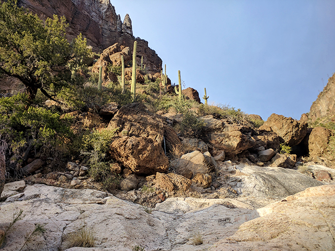 Nature's art gallery. Every turn in Aravaipa Canyon reveals a new masterpiece.