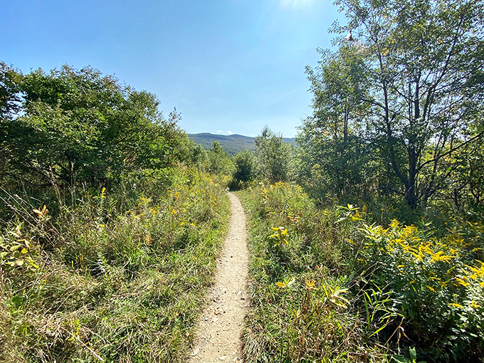 Smooth sailing for beginners, with scenery that'll knock your cycling socks off!