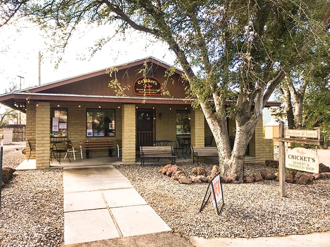 No bugs here, just a cozy cabin of culinary delights nestled in nature's embrace.