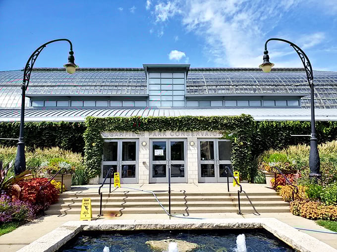 Wooden wonderland. It's like a forest decided to throw a world's fair.