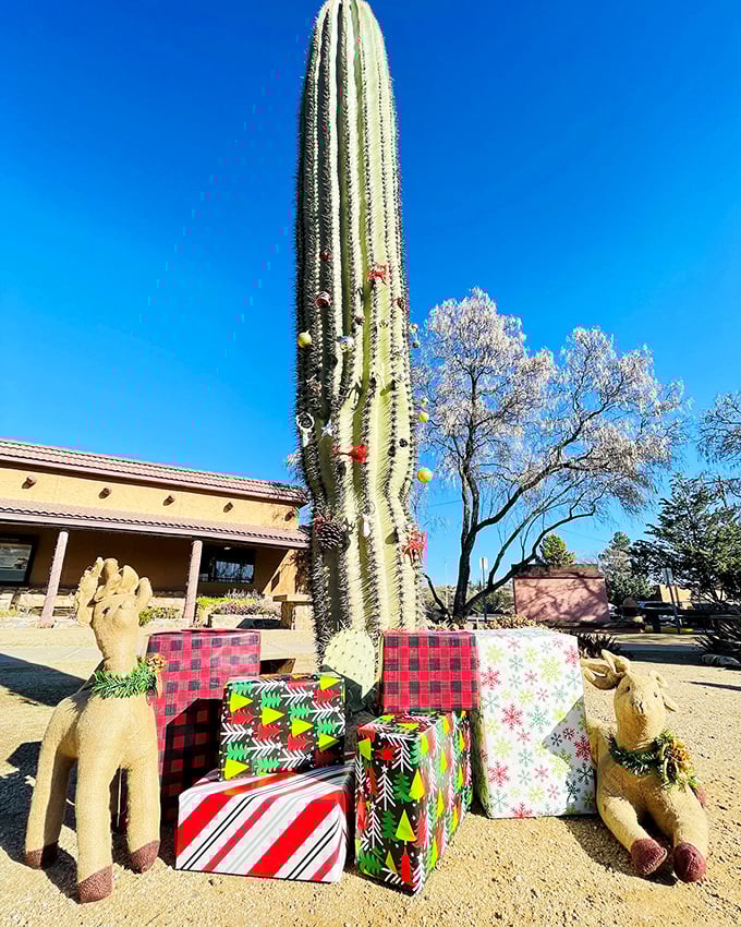 Broad Street aglow: It's like someone sprinkled Christmas fairy dust all over Globe's historic downtown.