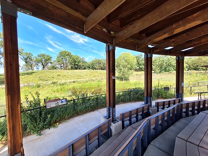 Crane spotting in Baraboo: Where birds of a feather flock together, and occasionally break into synchronized dance routines.