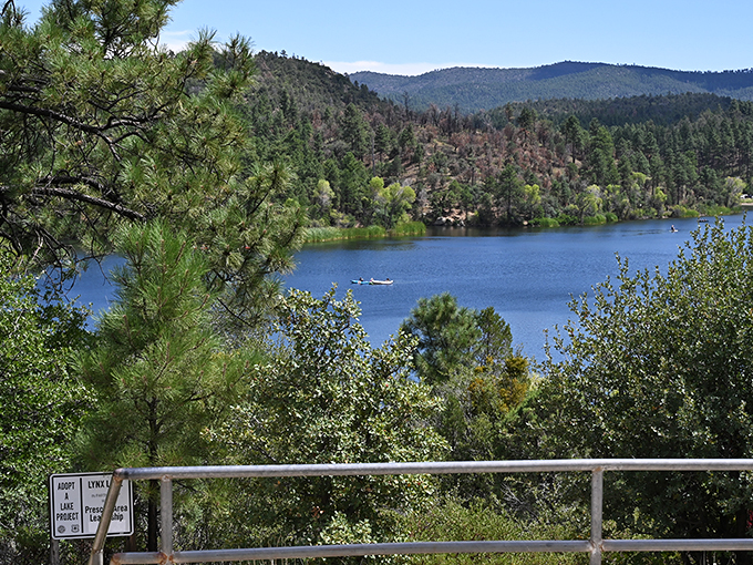 Serene mountain lake nestled among pine-covered hills, with a lone kayaker enjoying the tranquil waters - a hidden gem in Arizona's wilderness.