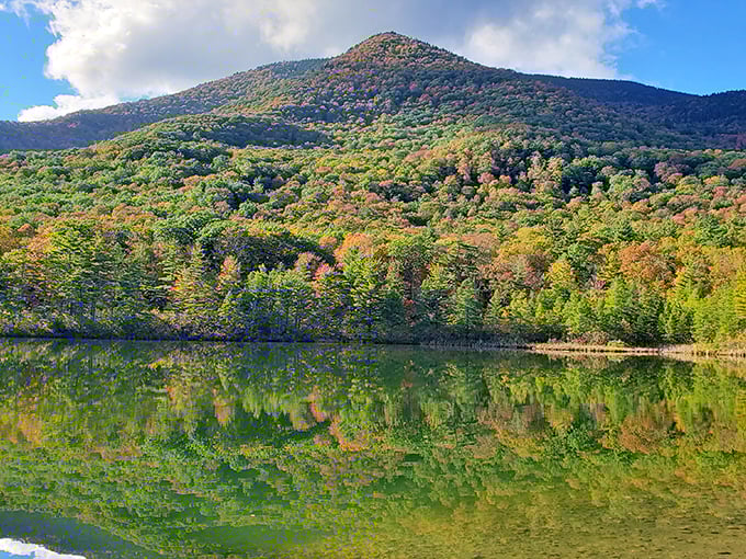 Manchester pit stop: Refuel your soul with a dose of history and high-class charm.