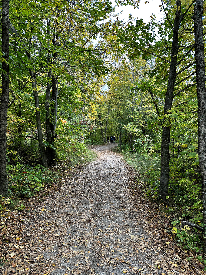 Maplewood's lake views: Serenity now, insanity later when you realize you have to leave this paradise.
