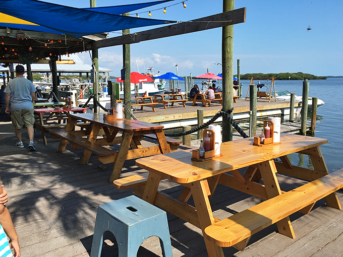 Waterfront views so good you'll pinch yourself. At Star Fish Company, even the fish volunteer to be dinner!