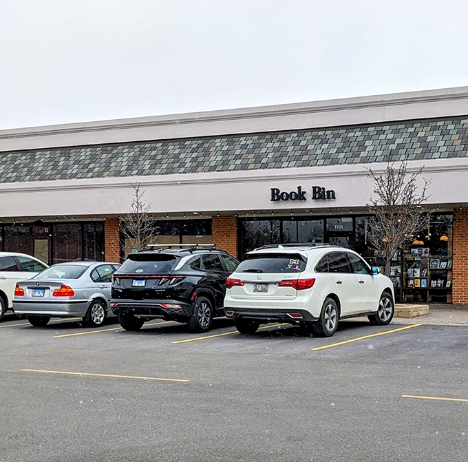 "Refuel your imagination at The Book Bin. It's the coziest pit stop on your reading road trip."