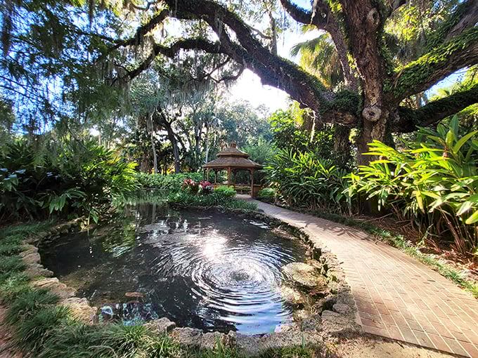 Ripple effect! This serene pond reflects more than just sky &ndash; it mirrors the very essence of Florida's natural beauty.