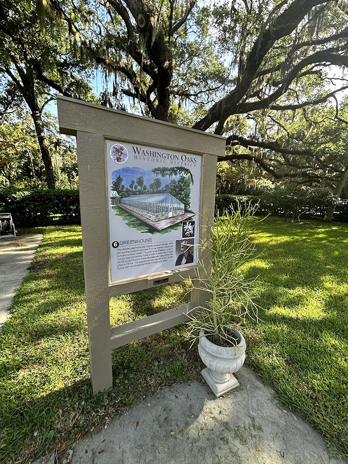 Garden geometry at its finest. This masterpiece is proof that Mother Nature aced her math classes.