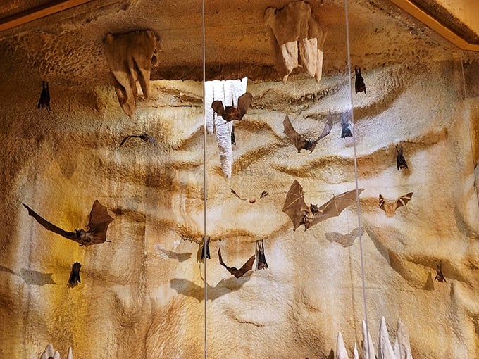 Bat cave or nature's mobile art installation? These hanging critters are giving us serious Batman vibes. Holy stalactites!