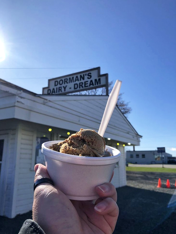 Coffee ice cream: because sometimes you need your caffeine fix and your sugar high to join forces. Productivity, meet deliciousness.