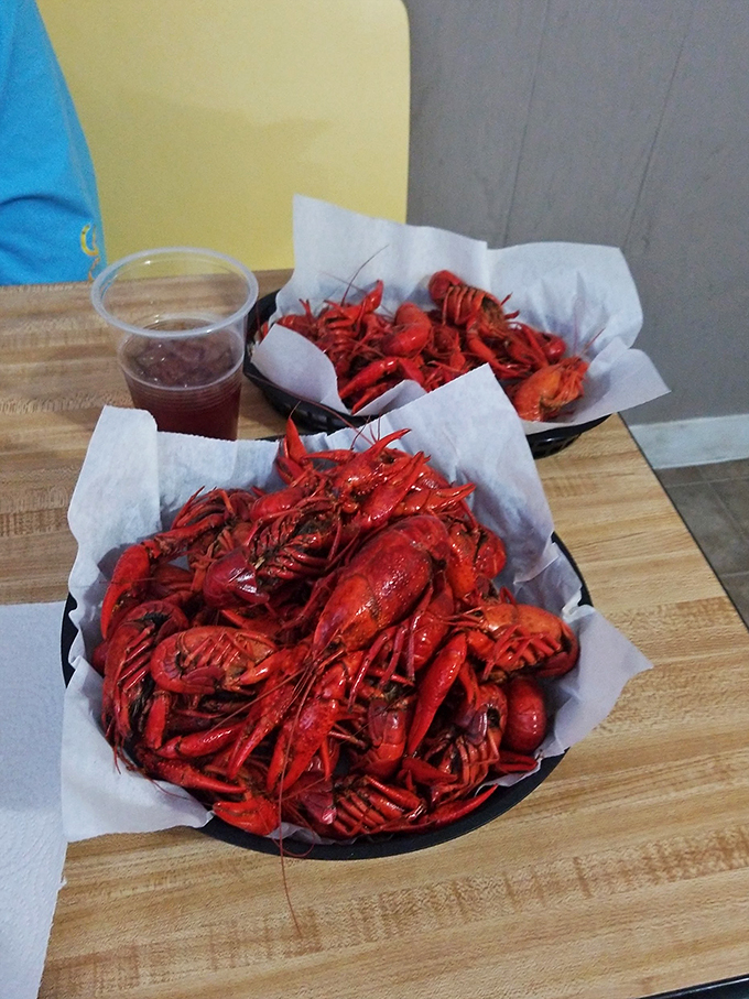 Red alert! These crawfish are so vibrant, they could stop traffic. Time to roll up your sleeves and dive in!