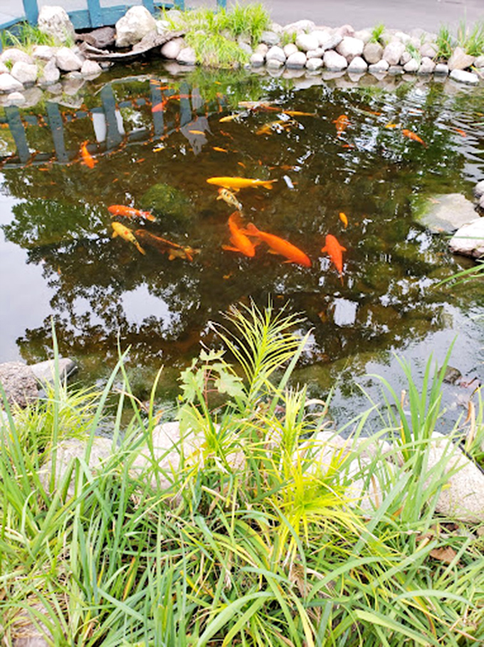 Tranquility meets whimsy. This koi pond is more soothing than your favorite easy-listening radio station.