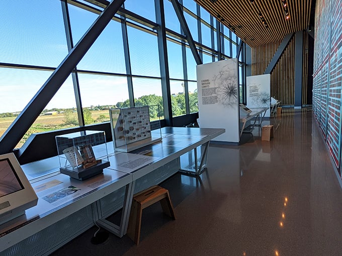 Windows to the world and beyond! This space invites you to contemplate the vastness of our universe and your place in it.