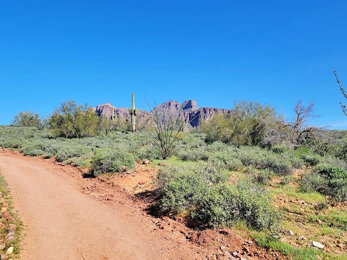 The path less rhinestoned: This trail leads adventurers through a landscape that's more "Viva Las Vegas" than "How the West Was Won."